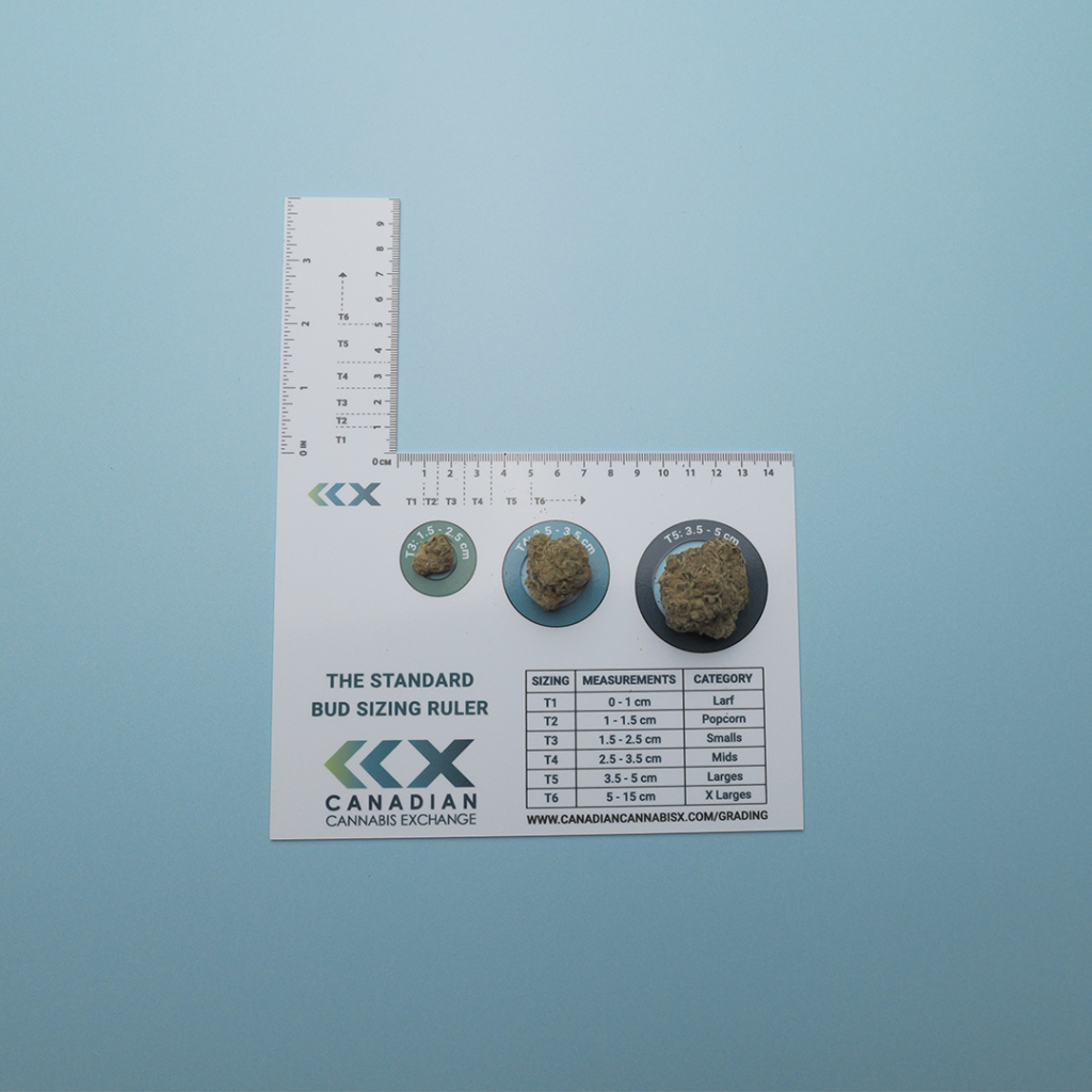CCX Standard Bud Sizing Ruler - Loud Lion Supply