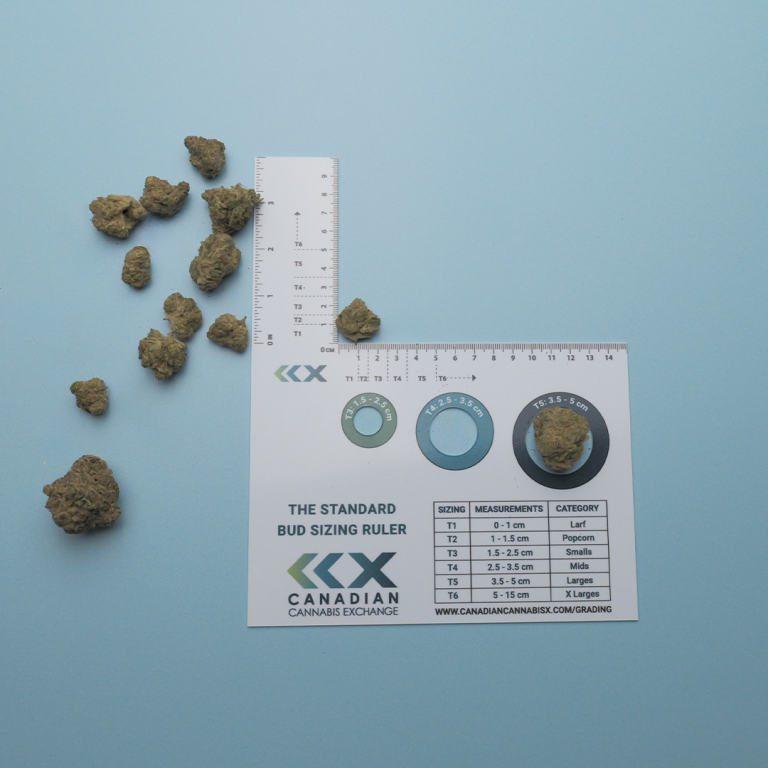 CCX Standard Bud Sizing Ruler - Loud Lion Supply